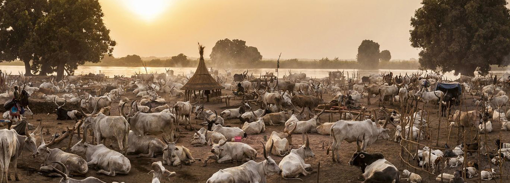 Cultural Atlas — South Sudanese Culture - Core Concepts